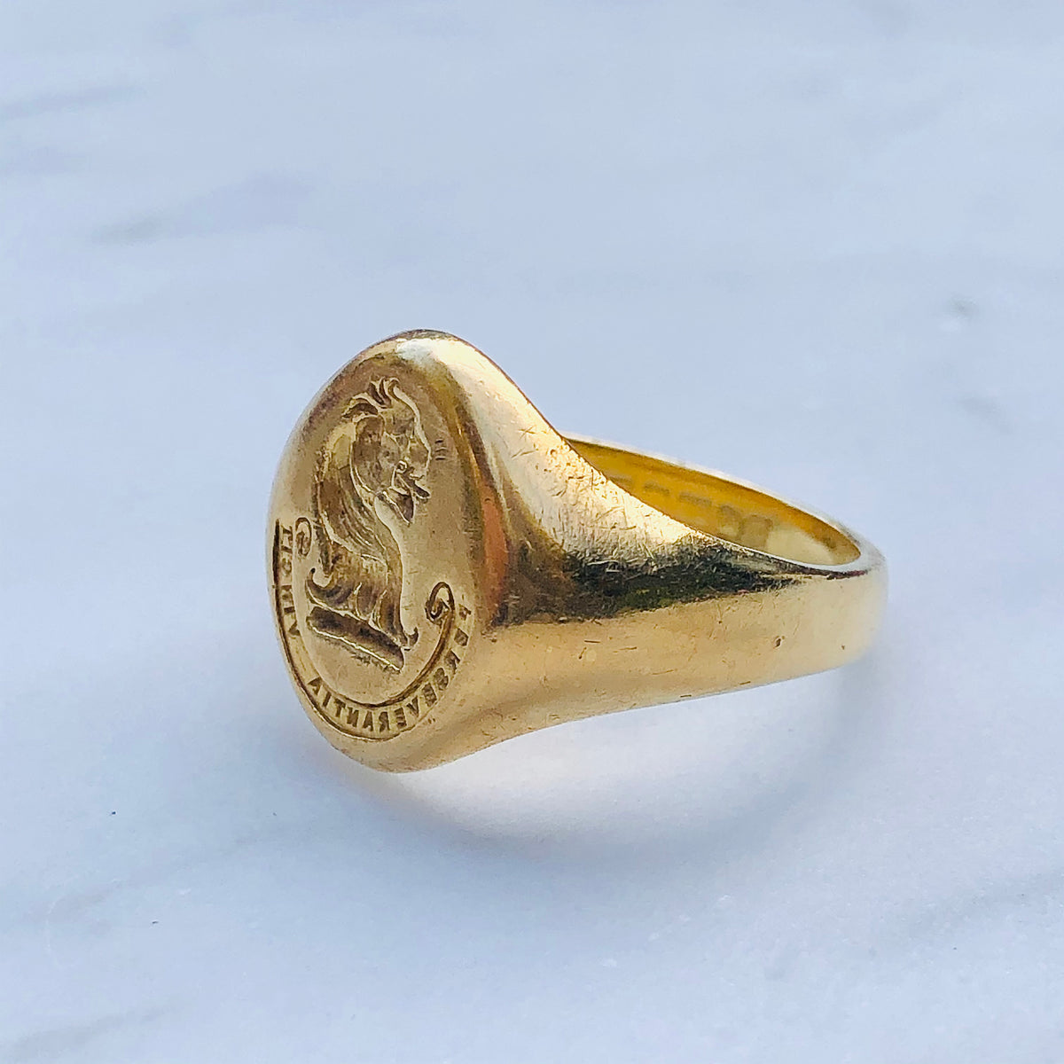 ‘Perseverantia Vincit’ Signet Ring – A Pocket of Rocks